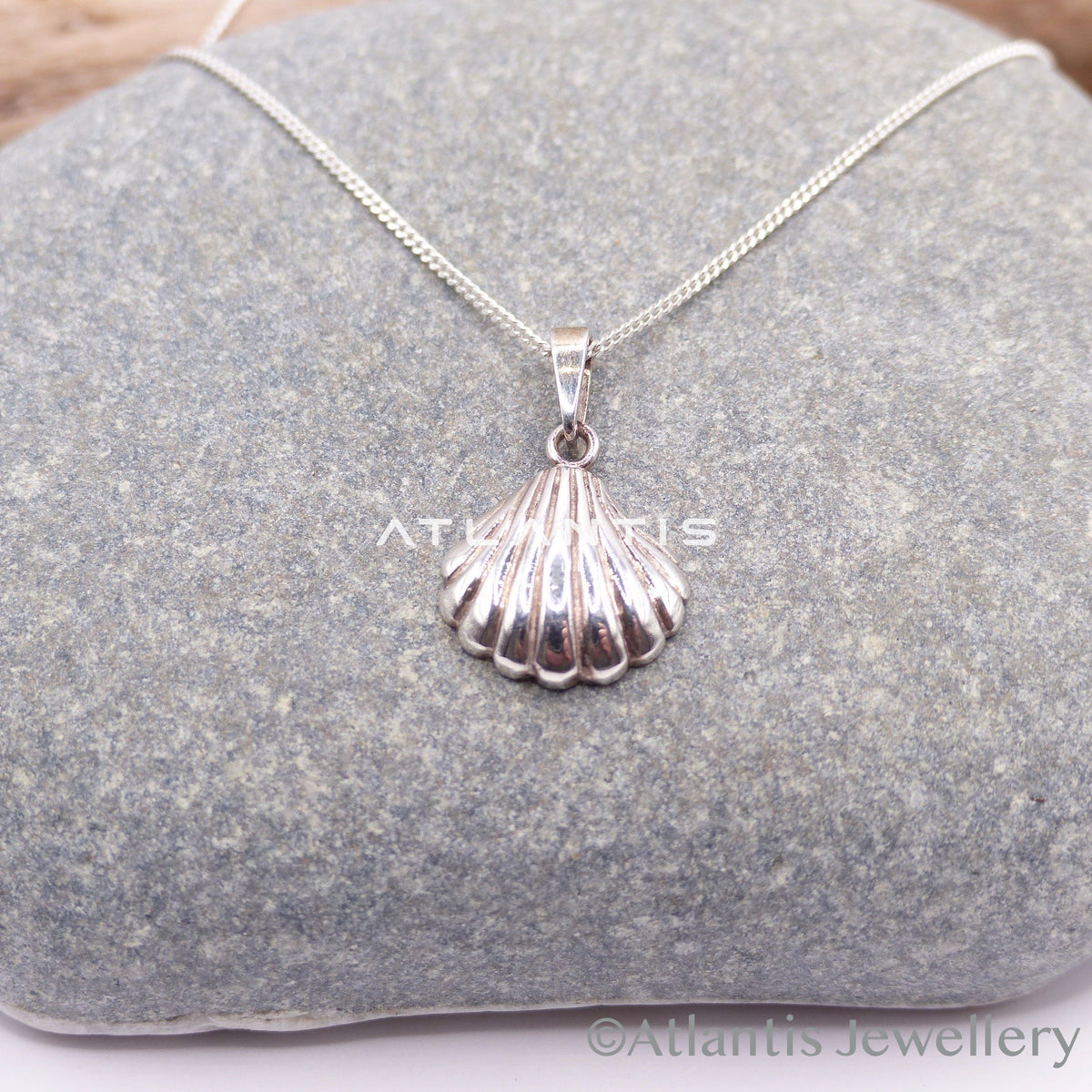 Shell Necklace in Sterling Silver – Atlantis Jewellery